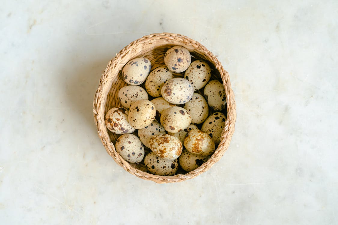 Os Surpreendentes Benefícios do Ovo de Codorna para a Sua Saúde